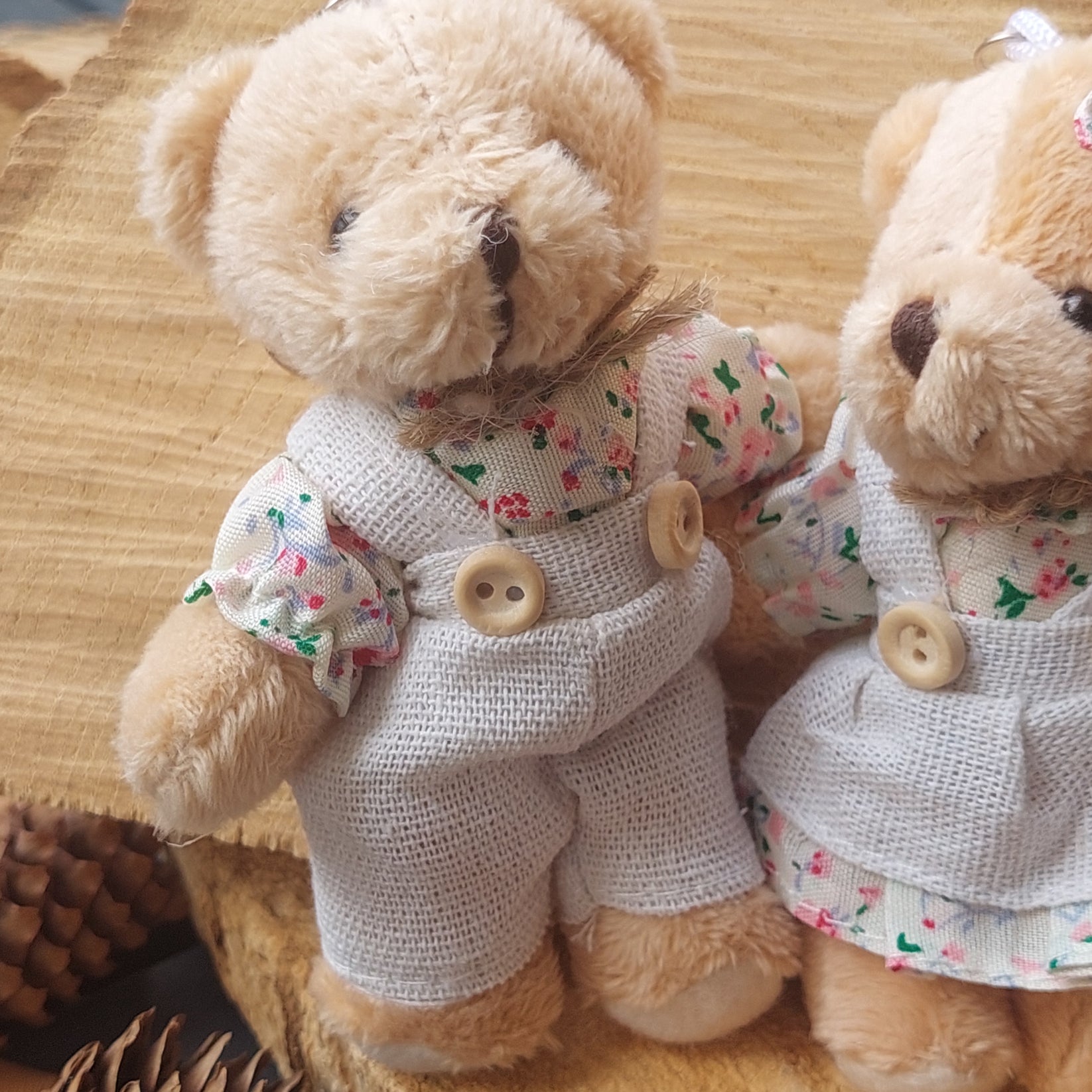 Inseparable Plush Toy Pair - Bear & Bunny Friends Keychain Gift Set ...