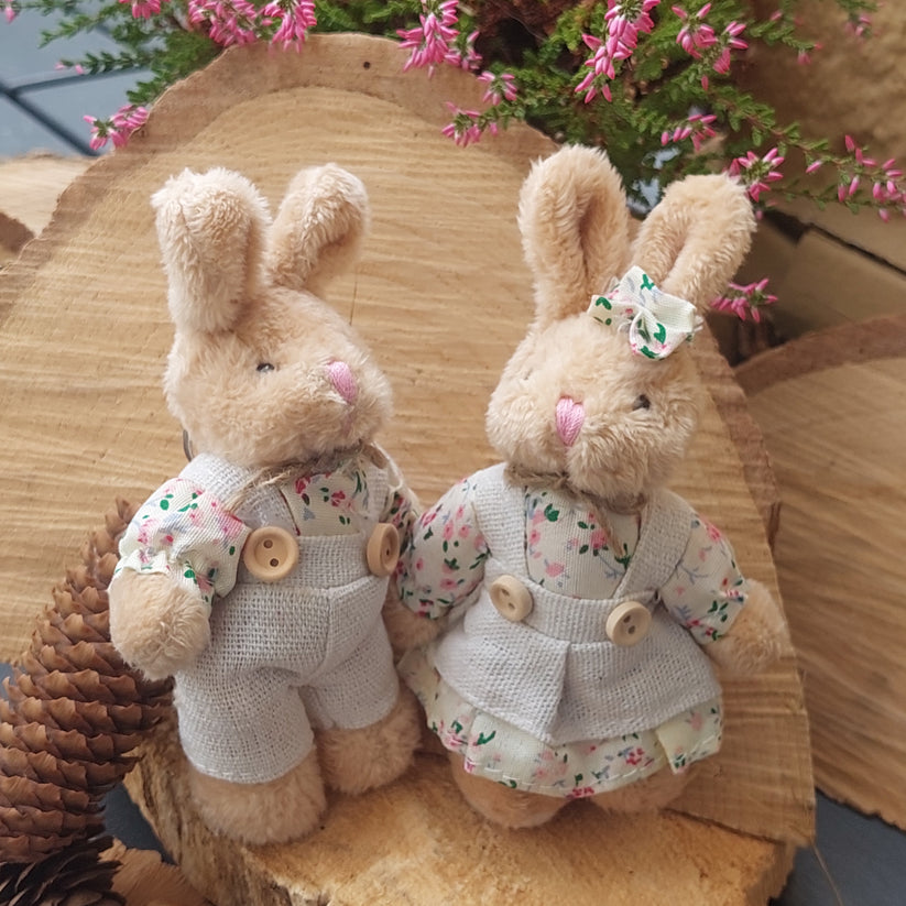 Inseparable Plush Toy Pair - Bear & Bunny Friends Keychain Gift Set ...